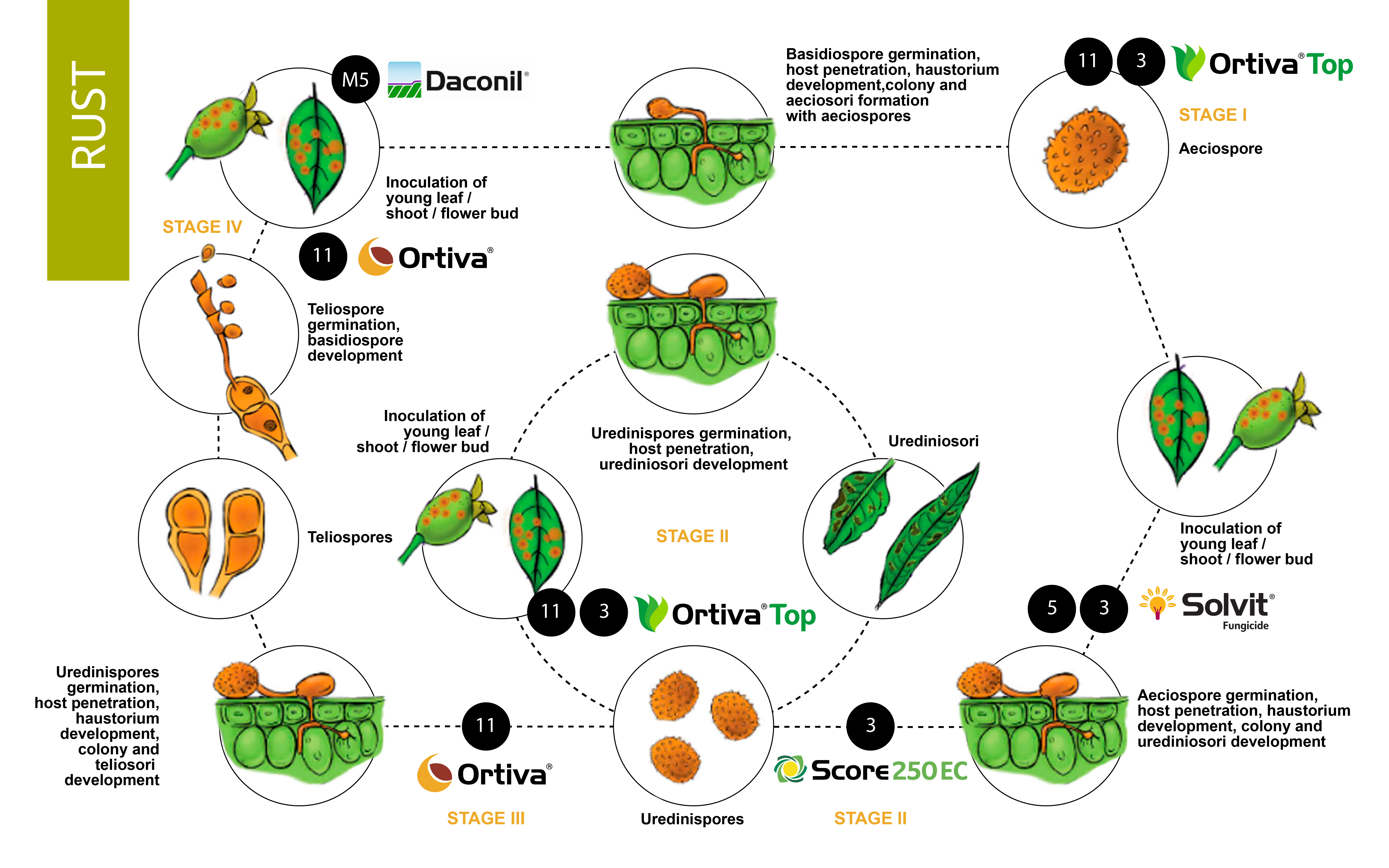 Life Cycle Brochure Buy Product Life Cycle Management For Mumbai